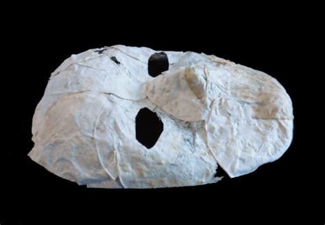 Mycotex Textile Made From Mushroom Mycelium Materialdistrict