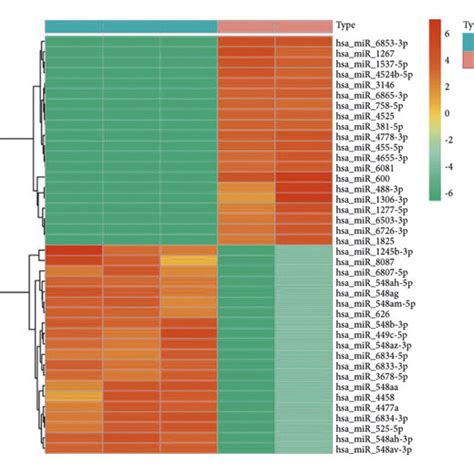 The Schema Of The Bioinformatics Analysis Download Scientific Diagram