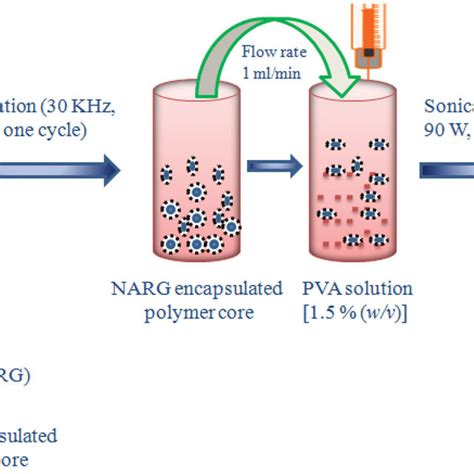 Schematic Illustration Of Narg Nps Fabrication By Download