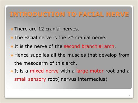 Facial Nerve And Its Extracranial And Intracranial Rots Pptx