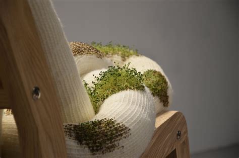Chia Chair Designed For Plants First And Humans Second