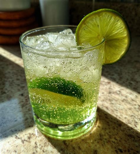 Easy Cocktails 7 Delightful Recipes For Any Occasion Vihaad Rezepte