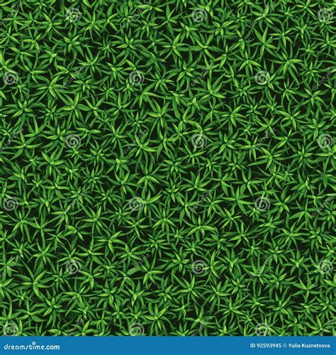 Seamless Texture Of Fresh Green Grass Stock Vector Illustration Of