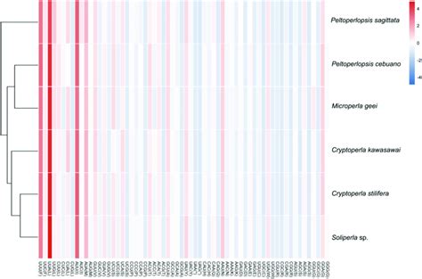 Heatmap Of Codon Usage For Protein Coding Genes In Peltoperlidae Red Download Scientific