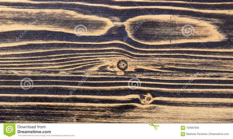 Sample Tree Texture Background Royalty Free Stock Image Cartoondealer