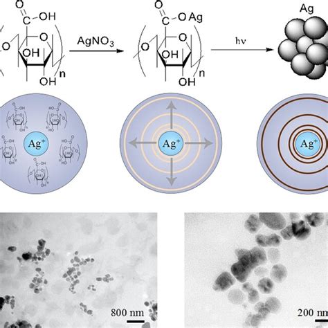 Diffusion Reaction Of The Ag Ions Occurs In The Agar Gel With