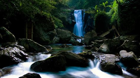 Live Nature Wallpapers 4k Hd Backgrounds On Wallpaperbat