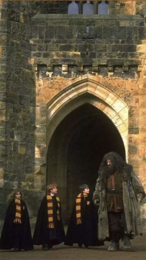 Sultan Of Delhi Actor Takes Offence Over Sex Label To Scene