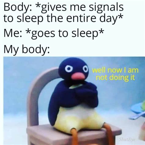 20 Best Go To Sleep Memes To Read At Midnight Shuteye