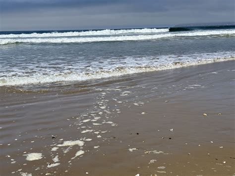 Beach View Pismo Califórnia Foto Stock Gratuita Public Domain Pictures