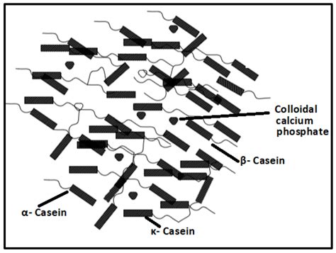 Natural Polymers Structure