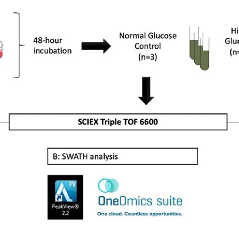 Schematic Flowchart Of The Liquid Chromatography Tandem Mass
