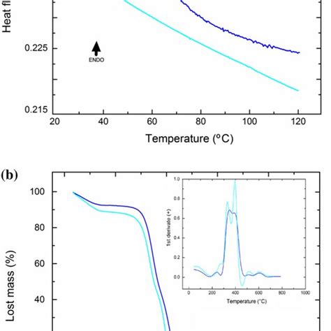 Thermic Behavior Of Polymeric Matrices A Dsc Analysis And B Tga And