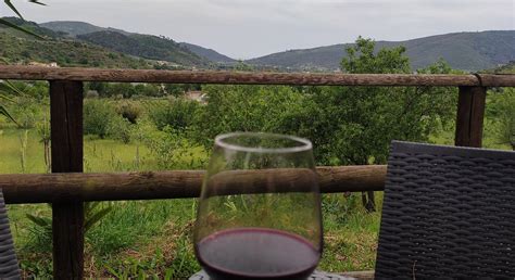 Bandb Pascale Castellabate Bandb Reviews And Photos Tripadvisor