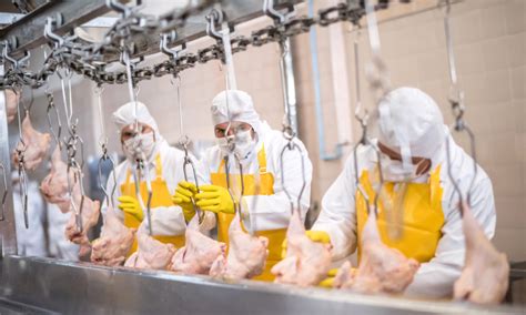 Meat Packing Plants See Rise Of Covid 19 Cases In Canada And The Us