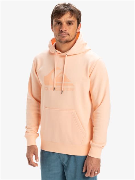 Comp Logo Mens Pink Hoodie Quiksilver
