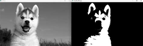 【opencv c 】 大津法（otsu）阈值处理 阿里云开发者社区