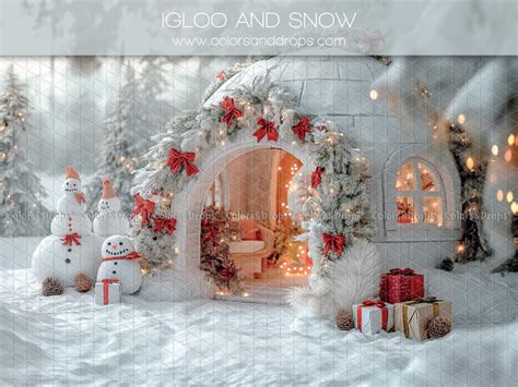 Igloo And Snow 2026