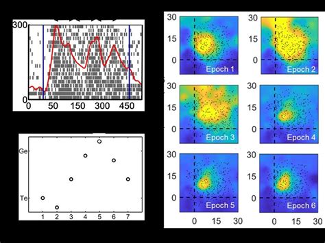 Spatiotemporal Analysis In One Example Neuron A Action Potential Download Scientific Diagram