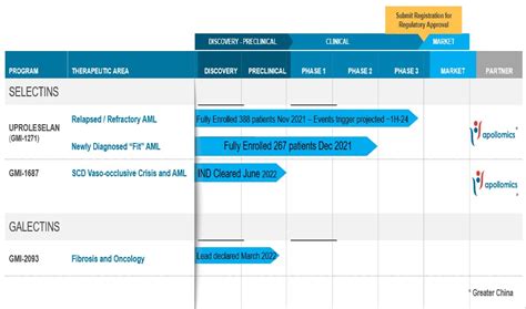 Glycomimetics Has Few Risks Great Outlook In Leukemia Nasdaqglyc