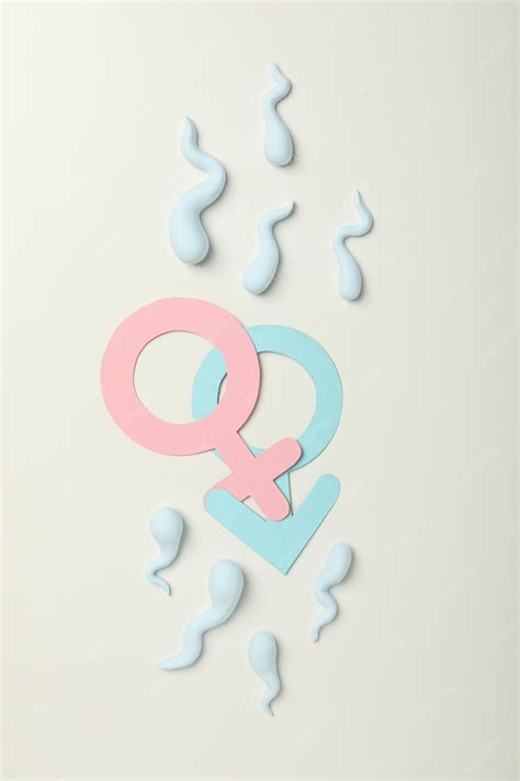 Premium Photo The Concept Of Fertilization The Period Of Ovulation Determining The Sex Of The