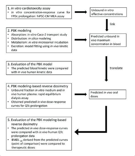 General Outline Of The Pbk Modeling Based Reverse Dosimetry Approach