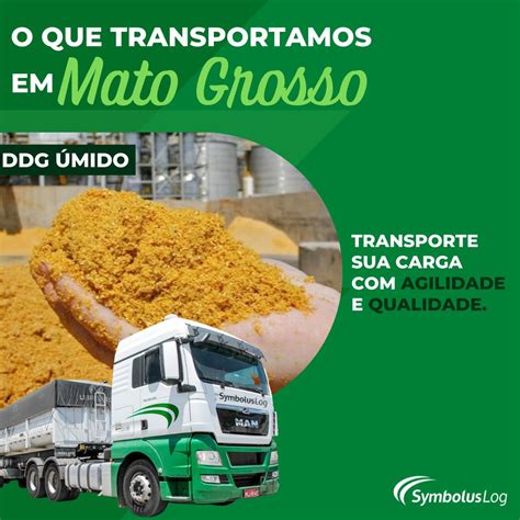 Grãos De Destilaria Também Conhecidos Como Ddg Dried Distillers