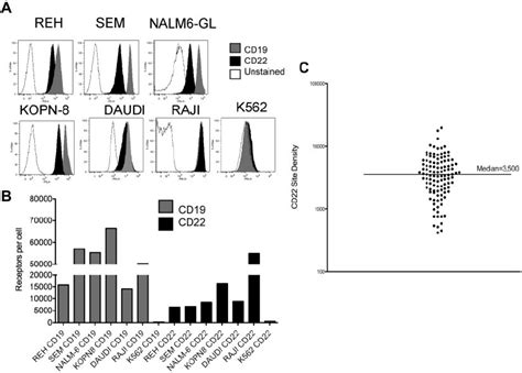 Expression Of Cd22 And Cd19 B Cell Precursor All Cell Lines A