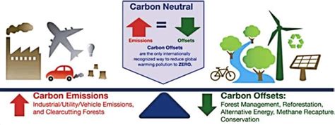 How Do Carbon Offset Credits Work 2023 Guide