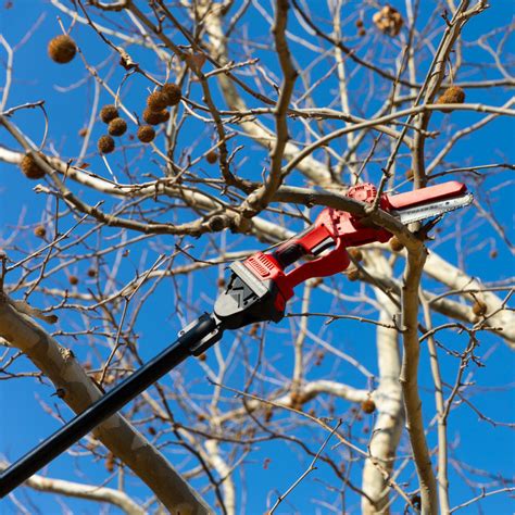 Glossy Black 10 Foot Electric Pole Saw Lightweight Electric Chainsaw