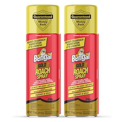 The 8 Best Roach Killers On The Market In 2026 Tested Picks