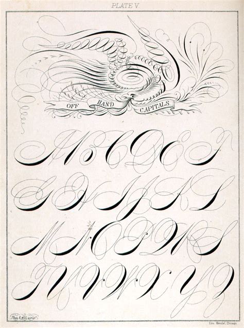 Victorian Decorative Handwriting 1883 Hills Manual Of Social And