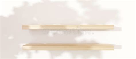 Wooden Shelves Two Floors Luxury Product Shelves Tree Reflections From