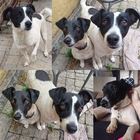 Tayga And Teeko Barkingmad