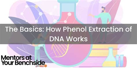 Role Of Phenol In Dna Extraction At Noah Weber Blog
