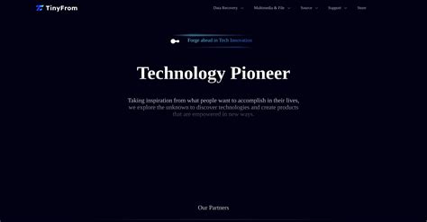 tinyfrom data recovery taaft