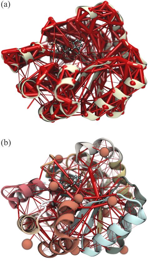 Introduction — Dynamical Network Analysis Documentation