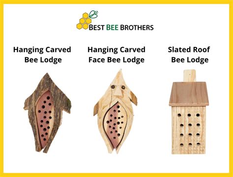 Carpenter And Mason Bee House Maintenance Best Bee Brothers