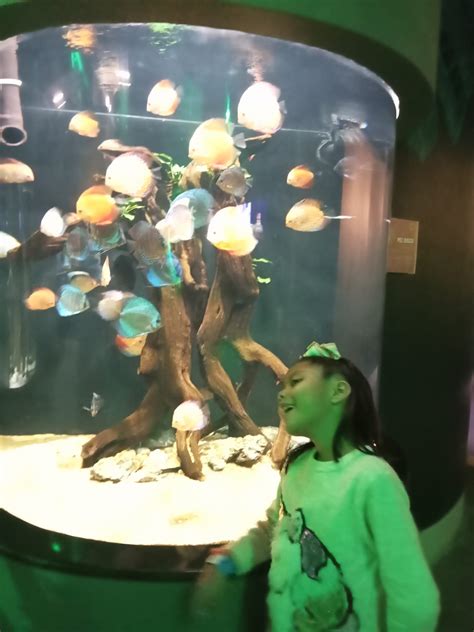 Iris Bautista Yescas