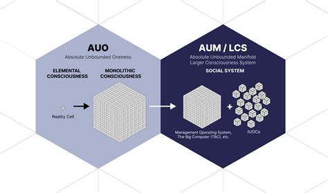 Introduction Part 3 Consciousness Evolution My Big Toe