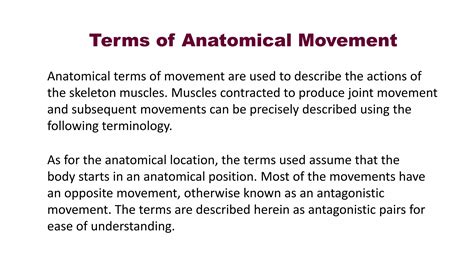 Anatomical Movement Terms And Medical Information Pptx