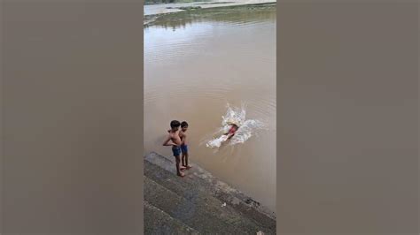 Protective Simba😇🙂 Youtube