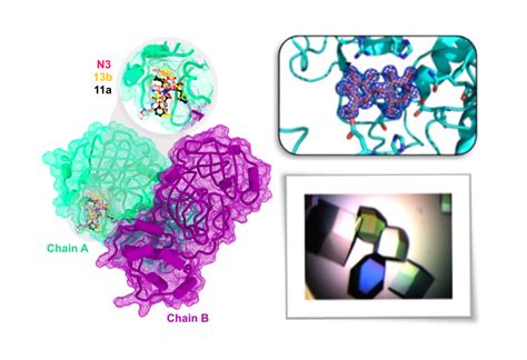 Research Groups Biochemistry