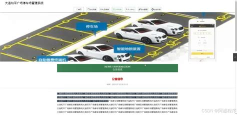 java计算机毕业设计大连和平广场停车场管理系统开题 程序 论文 CSDN博客