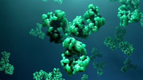 Advances In Antibody Screening Technology Networks