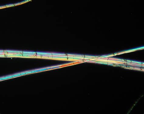 Fiber Microscopy