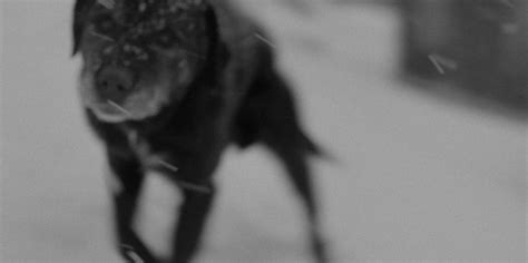 Kamenolom 2023 Čsfdcz