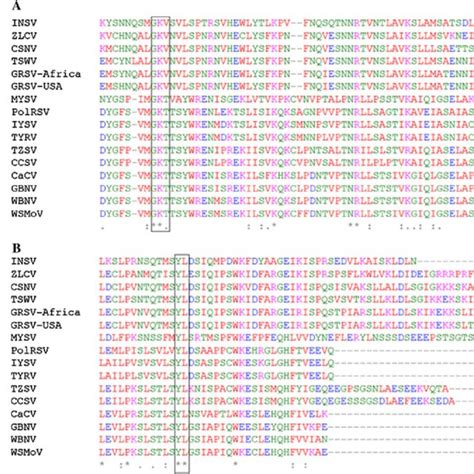 Alignment Of The Amino Acid Sequence Of The Nss Protein Of Tomato Download Scientific Diagram