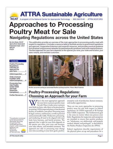 Approaches To Processing Poultry Meat For Sale Navigating Regulations