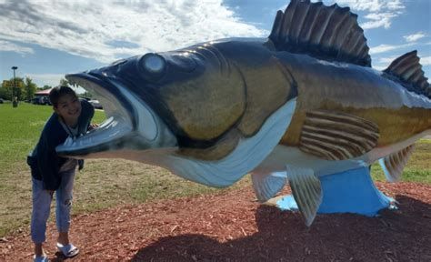 Coping With Medications Vasculitis Foundation